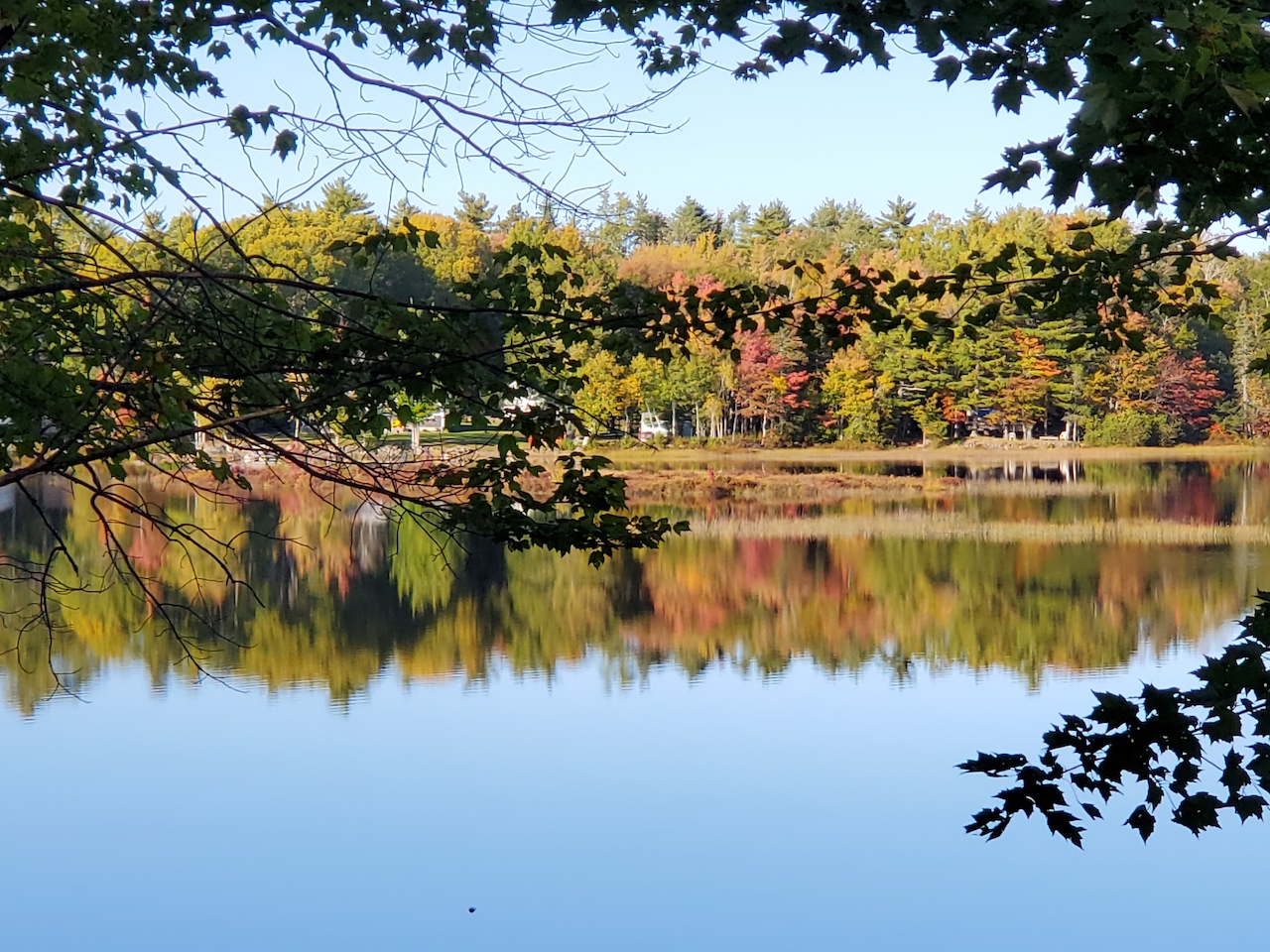 7 easy steps to tame your hectic life: make time to breathe! - The ...