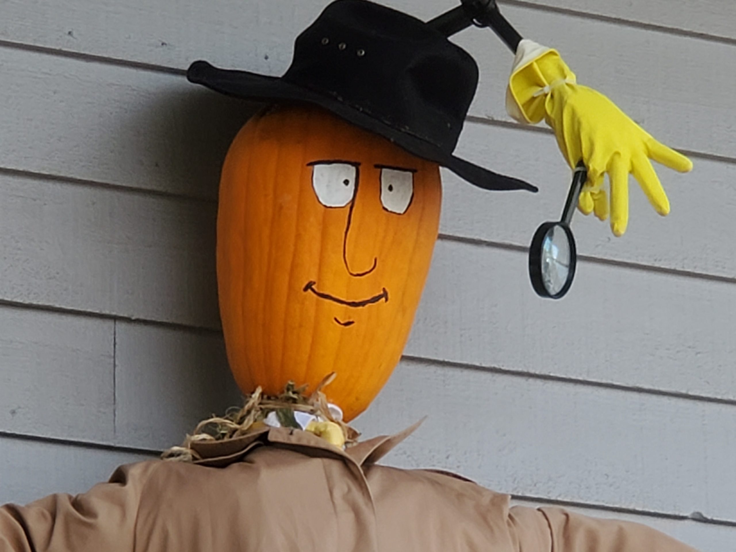 Disembodied voices stressful? 5 steps to powerful gift - The wisdom of us