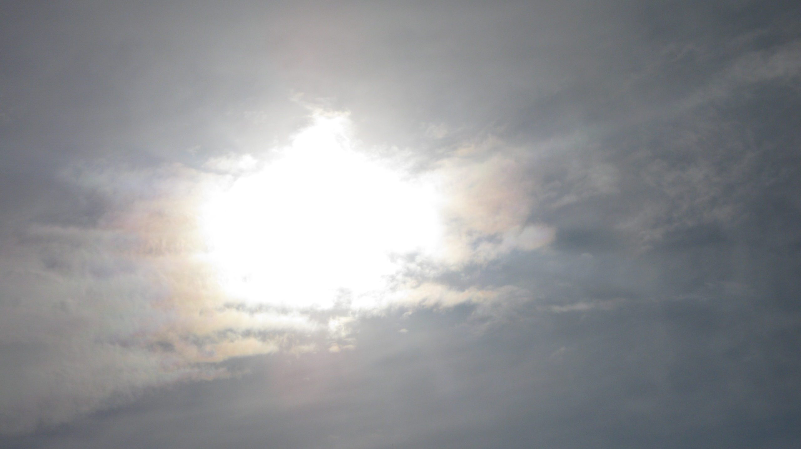 Lesson of love from out-of-body experience - The wisdom of us